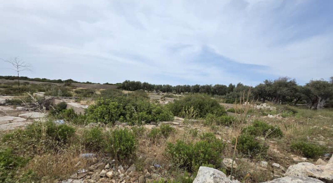 Land in Anfeh (AN04) - East of The East
